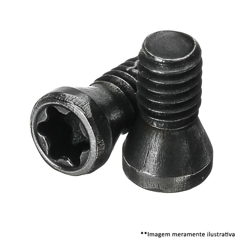 PARAFUSO TORQUE M5,0 X 12,0 MM PARA CHAVE TORX T20 | ESPAÇO DAS FERRAMENTAS
